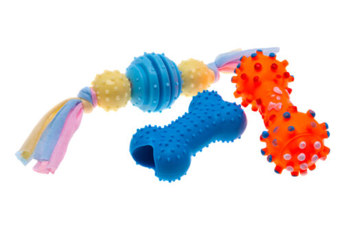 How to Entertain Your Ducks (with Toys and Activities) - Fur, Wings ...